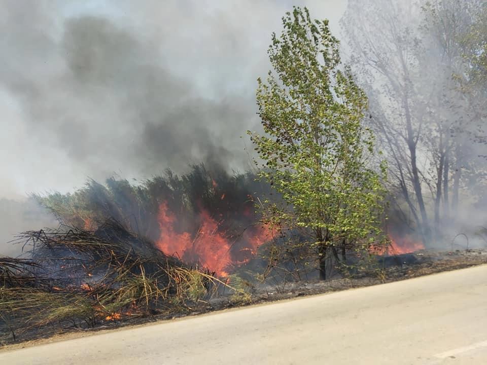Πυρκαγιές στη Νέα Μανωλάδα και στη Μεγαλόπολη