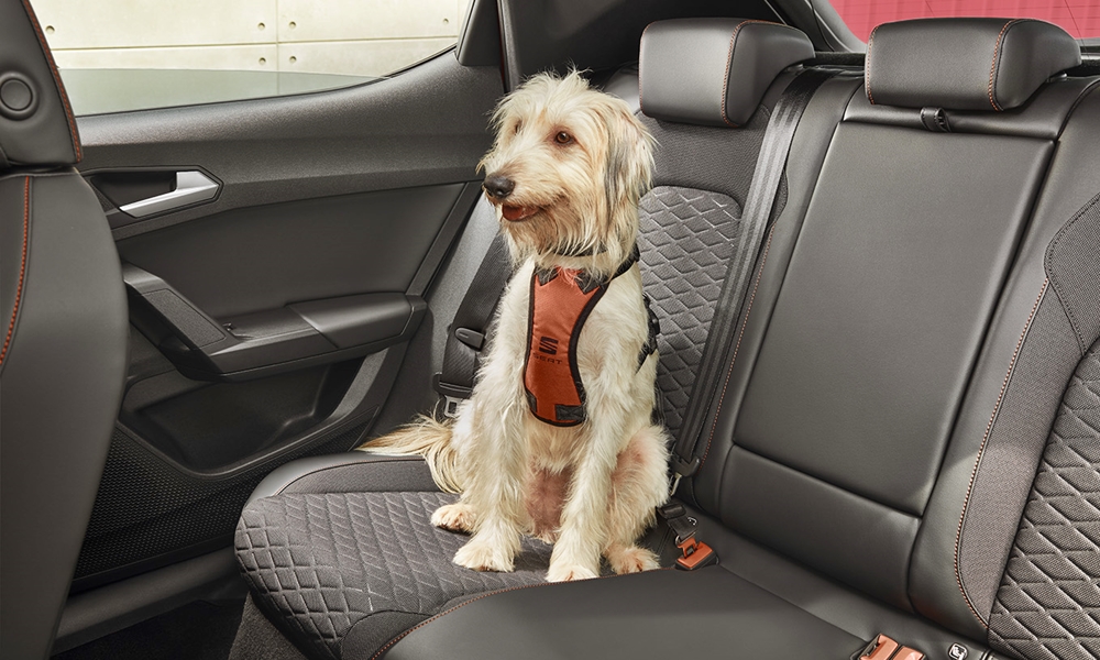 H Seat για τα κατοικίδια και τη μεταφορά τους