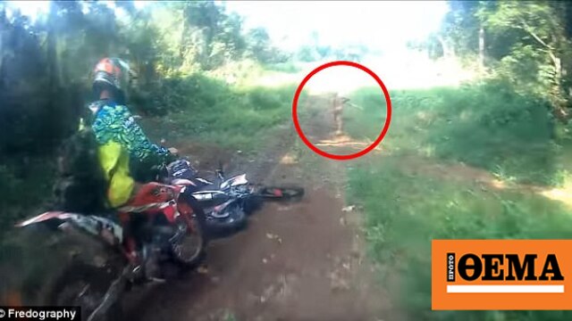 Is this a member of Indonesia’s lost pygmy tribe?