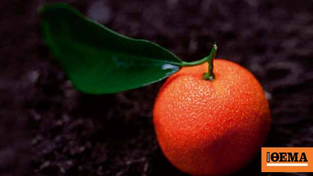 Στα ελληνικά το βιβλίο «Fruits» του καλύτερου ζαχαροπλάστη στον κόσμο ...