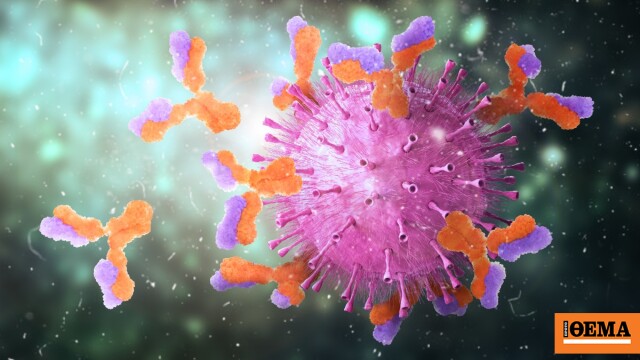 Κορωνοϊός: Το αντίσωμα που σας προστατεύει από τον ιό