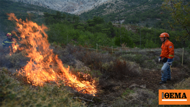 Η πρόληψη πυρκαγιών γίνεται πράξη στη Χίο