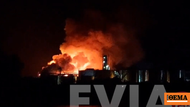 Φωτιά σε εργοστάσιο στα Ψαχνά Ευβοίας - Μεγάλη η κινητοποίηση της ...