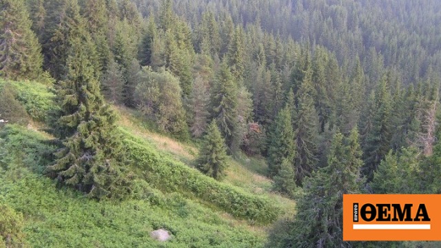 Δασικοί χάρτες: 22 ερωτήσεις και οι απαντήσεις τους