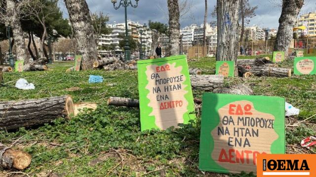 Θεσσαλονίκη: Οικολόγοι διαμαρτύρονται για τις κοπές δέντρων - «Το ...
