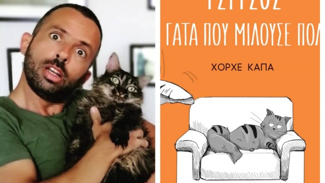Tsitsos the cat: Ο influencer-φαινόμενο της ελληνικής γατο-κοινότητας ...
