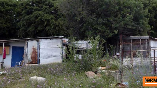 Καβάλα: Θρίλερ με τον θάνατο της 68χρονης κτηνοτρόφου - Δολοφονήθηκε ή ...