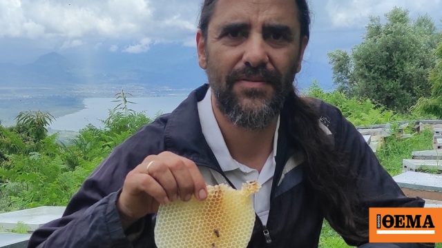 BEE-thoven: Εκεί που η μουσική συναντά τη... μελισσοκομία