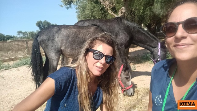 Τα άλογα του Υμηττού: Δύο γυναίκες πασχίζουν να φροντίσουν 90 ...