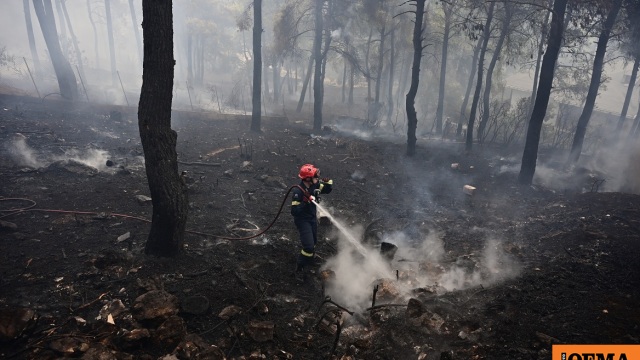 Εκδόθηκε η ΚΥΑ για την προκαταβολή 50% της κρατικής αρωγής για τις ...