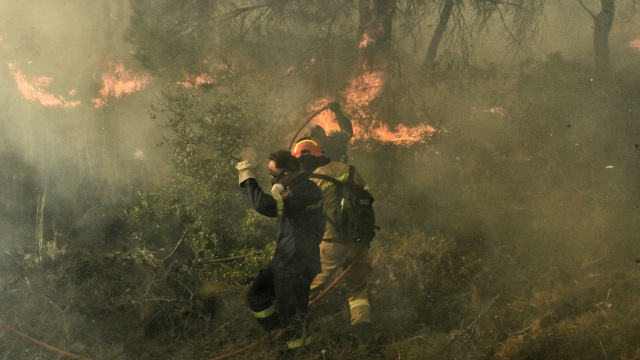 Φωτιά σε δασική έκταση στη Λακωνία - Ενισχύθηκαν οι δυνάμεις της ...