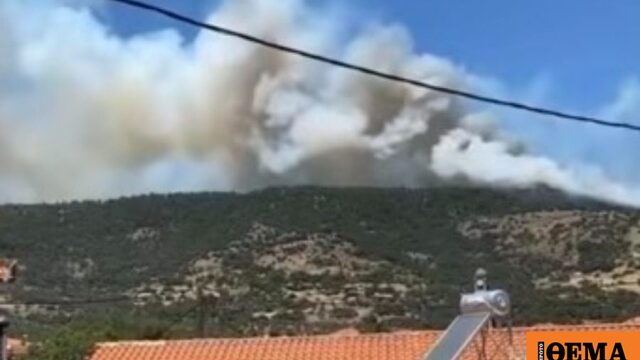 Συνελήφθη 28χρονος για την πυρκαγιά στο Μανταμάδο Λέσβου