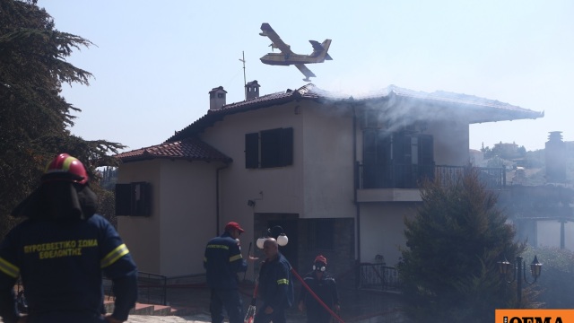Πυροσβεστική: 52 πυρκαγιές το τελευταίο 24ωρο στη χώρα - Συνελήφθη ένα ...