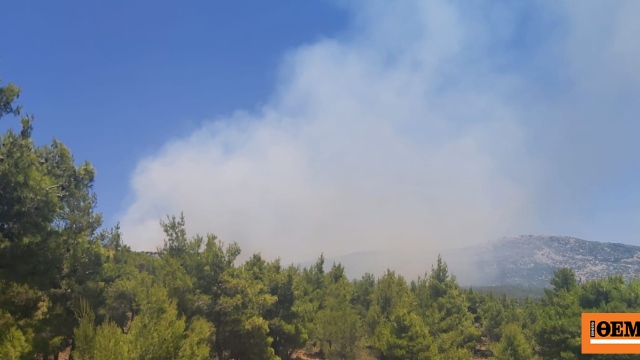 Χωρίς ενεργό μέτωπο η φωτιά στον Κιθαιρώνα κοντά στις Ερυθρές Αττικής
