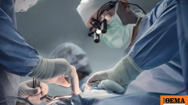 Χειρουργική Κλινική Μεταμοσχεύσεων ΑΠΘ: Κέντρο Έρευνας και Καινοτομίας ...