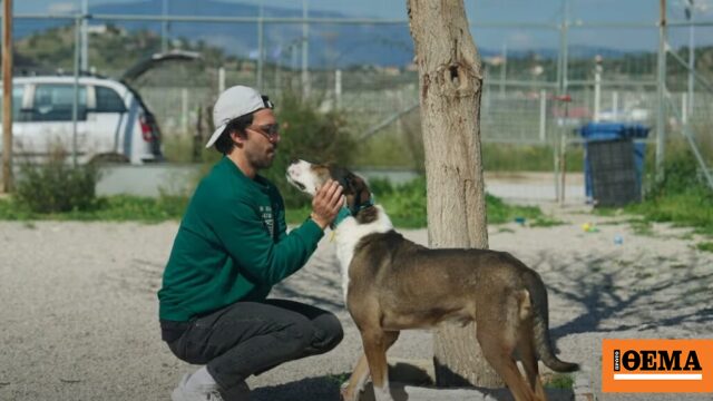 React Docuseries: Το 2ο επεισόδιο της digital σειράς είναι αφιερωμένο στους τετράποδους φίλους μας