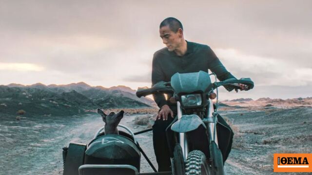 Ποια είναι η νικήτρια του Palm Dog στις Κάννες;