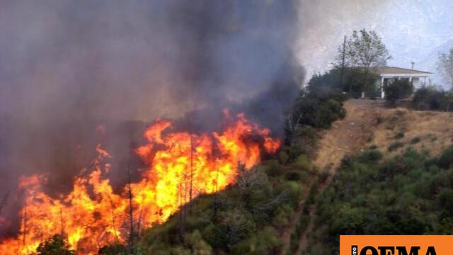 Δωρεάν φαγητό σε όσους πεινούν