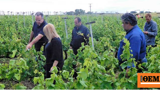 ΕΛΓΑ: Έρχονται πληρωμές 76 εκατ. ευρώ για τις ζημιές του 2023
