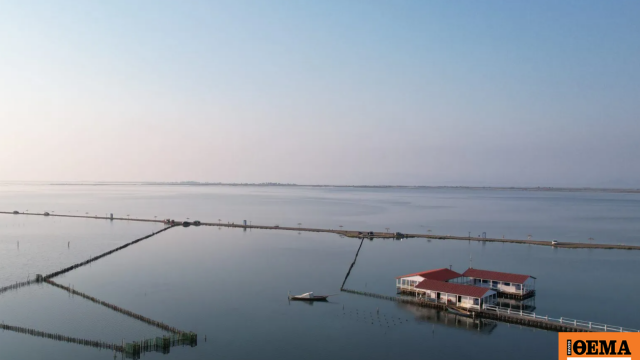 Μεσολόγγι: Βιολογικοί ορυζώνες με θαλάσσια αύρα