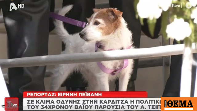 Σύγκρουση τρένων στα Τεμπη: Το σκυλάκι του Βάιου και της συντρόφου του ...