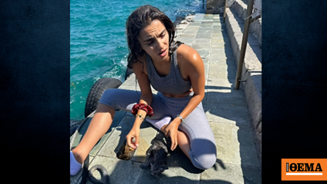 Σπέτσες: Τουρίστρια έπεσε στο λιμάνι για να σώσει γατάκι που πνιγόταν ...