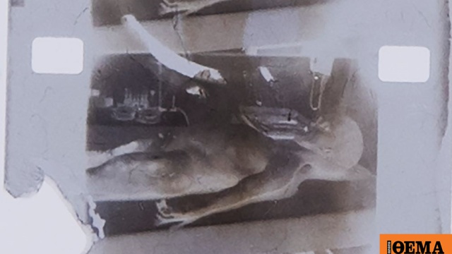 Ο εξωγήινος του Ρόσγουελ: Στο «σφυρί» για 1 εκατ. δολάρια το φιλμ με τα ...