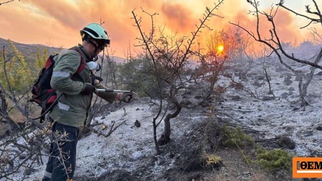 arogi.gov.gr: Στα 2,6 εκατ. ευρώ η πρώτη αρωγή στις περιοχές που επλήγησαν από τις πυρκαγιές του ...
