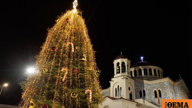 Τα χριστουγεννιάτικα δέντρα «επιστρέφουν» στους δημότες