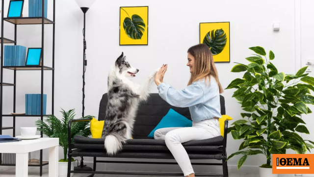 Μπορεί ένας σκύλος να διαγνώσει τη νόσο Πάρκινσον; Καινοτόμος μελέτη ...