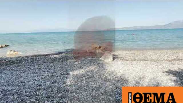 WebTV - ΑΓΓΕΛΙΚΗ