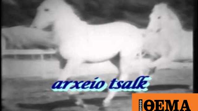 WebTV - ΔΙΑΦΗΜΙΣΗ ΠΕΙΡΑΙΚΗ ΠΑΤΡΑΙΚΗ