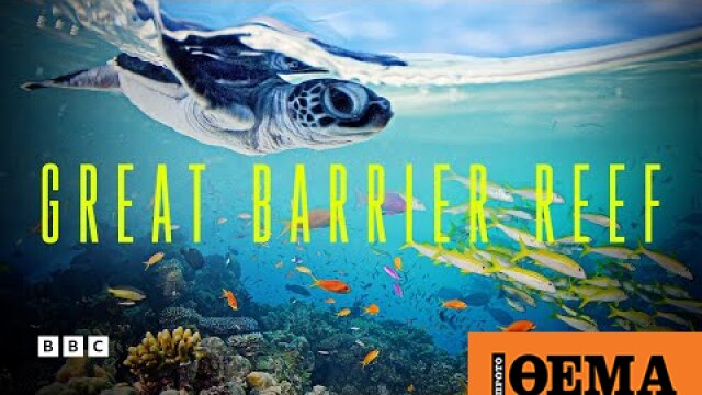 WebTV - Great Barrier Reef | BBC Select