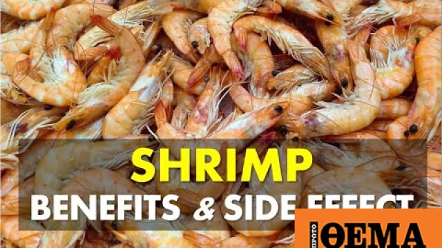 WebTV - Shrimp Benefits and Side Effects, Shrimp Is Low in Calories ...