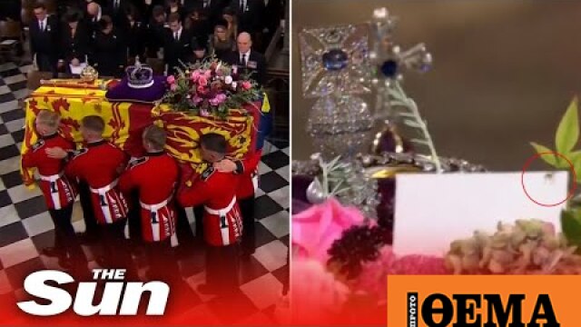 WebTV - Stowaway Spider seen crawling across flowers on The Queen's ...