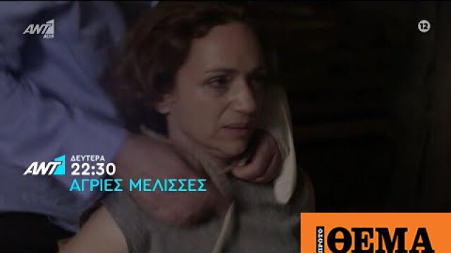 WebTV - Αγριες μέλισσες - δευτέρα 4/7/22 (επεισόδιο 141 Γ κύκλος) (HD ...