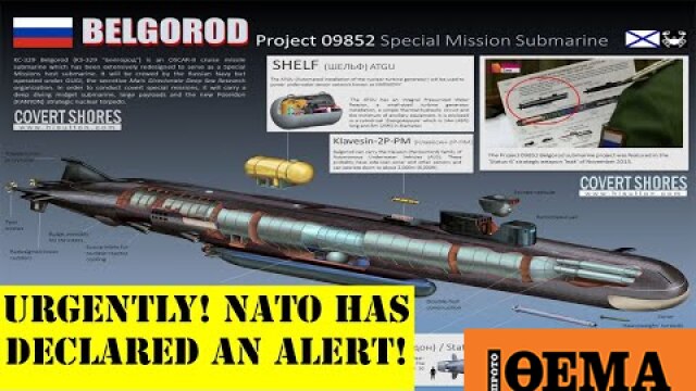 WebTV - NATO has issued an alert due to the release of the Russian ...