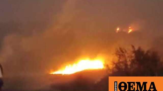 WebTV - Πλάνα μέσα από το χωριό Δωρικό και τις μαχες που δίνουν οι ...