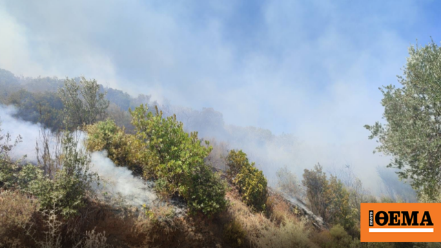 Υπό μερικό έλεγχο η φωτιά στην περιοχή Νερόμυλος Μεσσηνίας